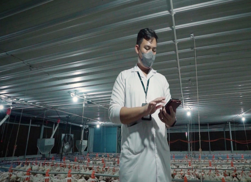 Entering the Livestock Sector, Telkom Introduces IoT Smart Poultry ...