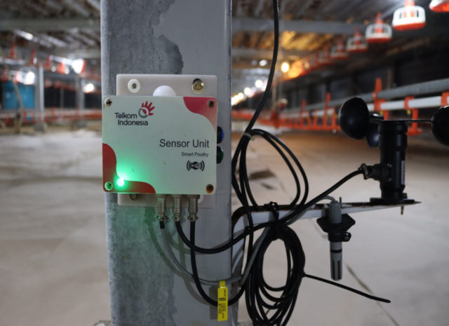 Entering the Livestock Sector, Telkom Introduces IoT Smart Poultry ...