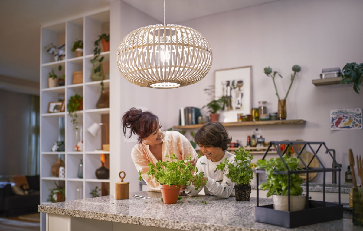 Philips LED Ultra Efficient Energy Saving Lamps Last 50 Years!